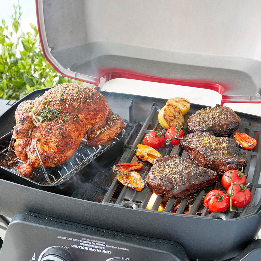 Ziggy Elite Twin Grill LPG BBQ On Cart – BBQ39